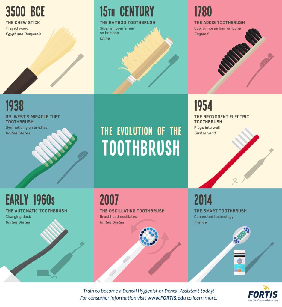 19th Century TOOTHBRUSH: Evolution, DESIGN & USE Revealed!