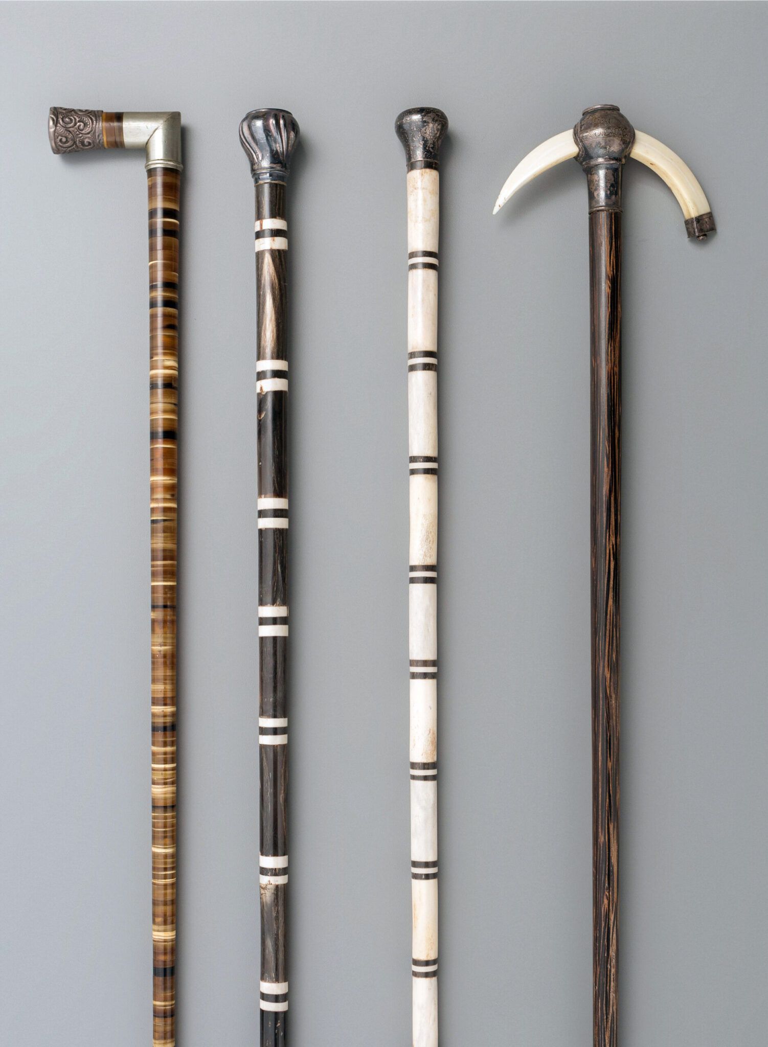 The Evolution of 19th Century Walking Canes: A Stylish Accessory with a ...