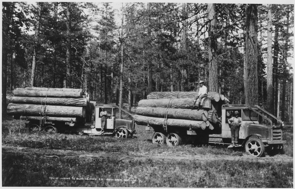 Discover Sawmills REVOLUTION in the 19th CENTURY!