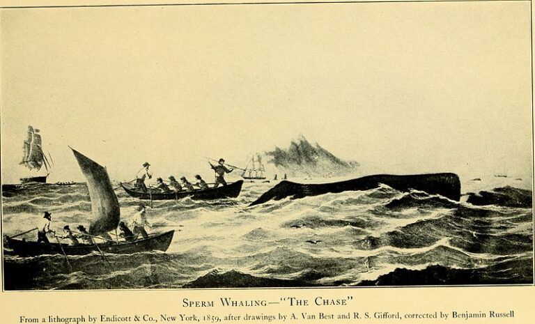 The Golden Age of Whaling: Exploring the 19th Century Whaling Ships ...